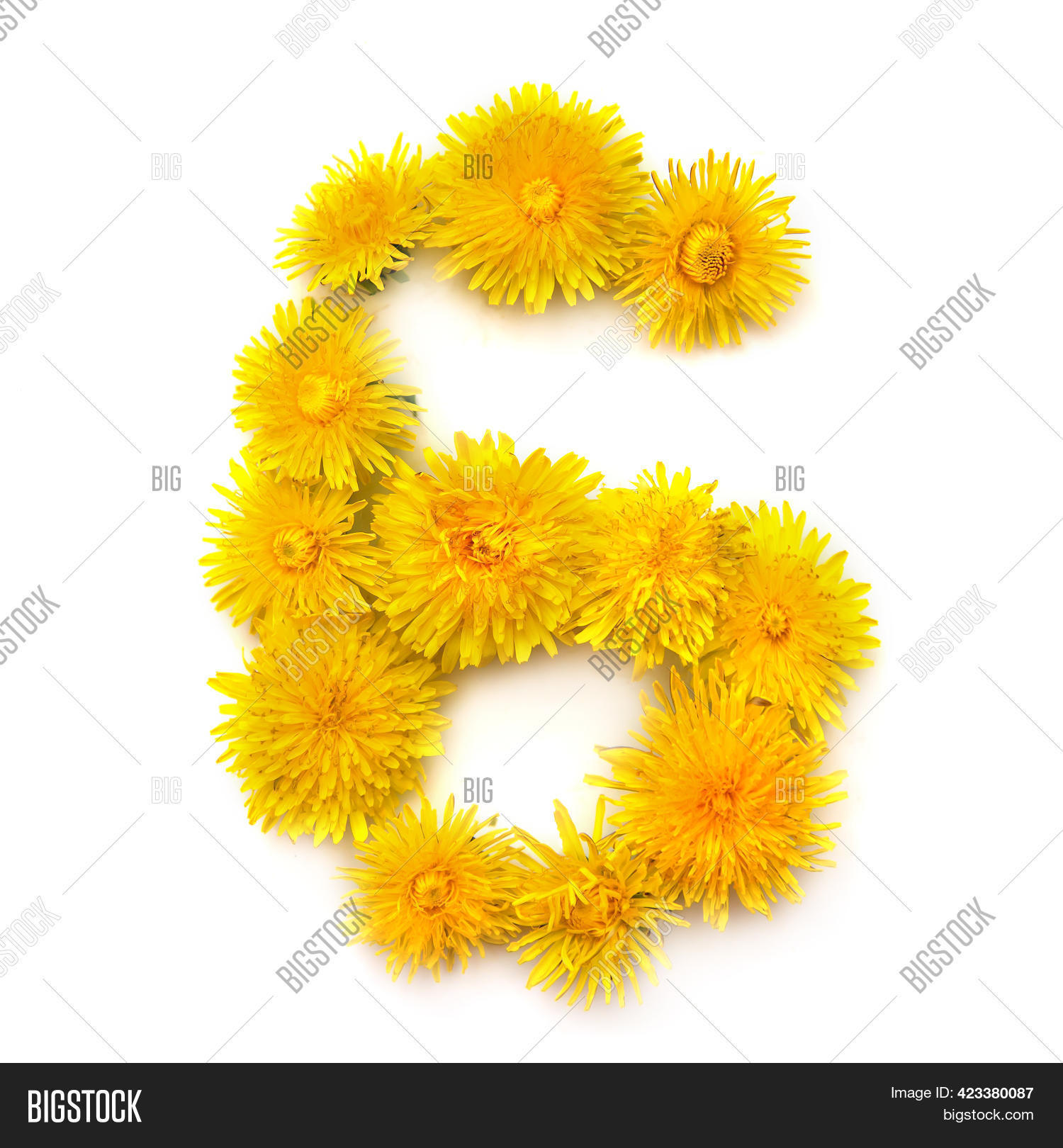 Number 6 Bright Yellow Image & Photo (Free Trial) | Bigstock