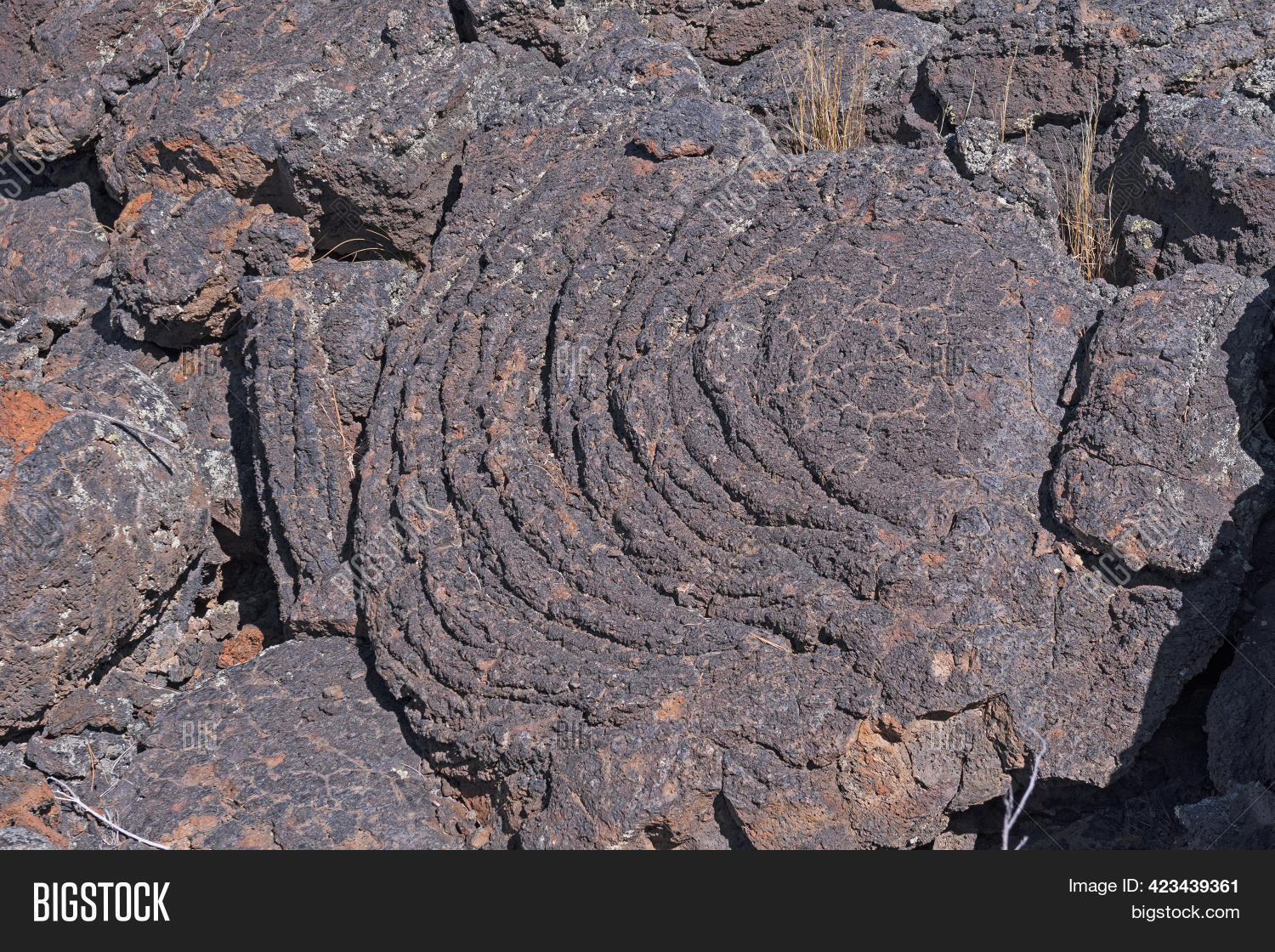 Pahoehoe Lava Flow Image & Photo (Free Trial) | Bigstock