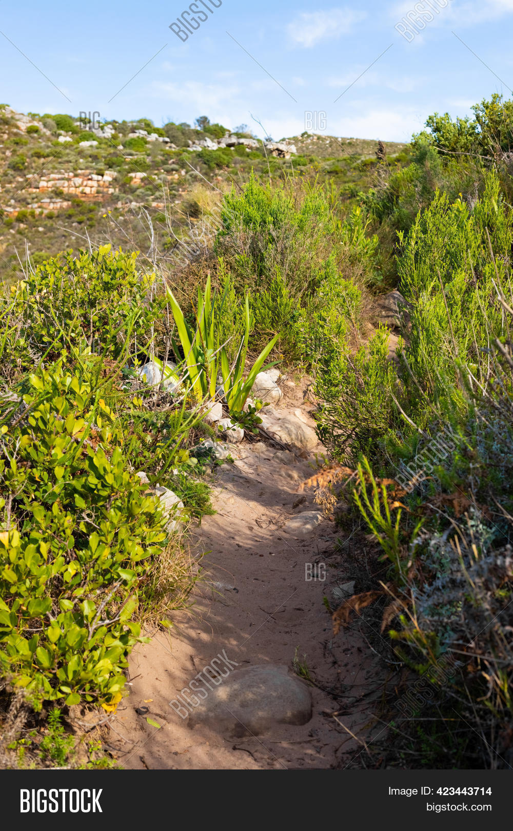 Dirt Track Hiking Image & Photo (Free Trial) | Bigstock