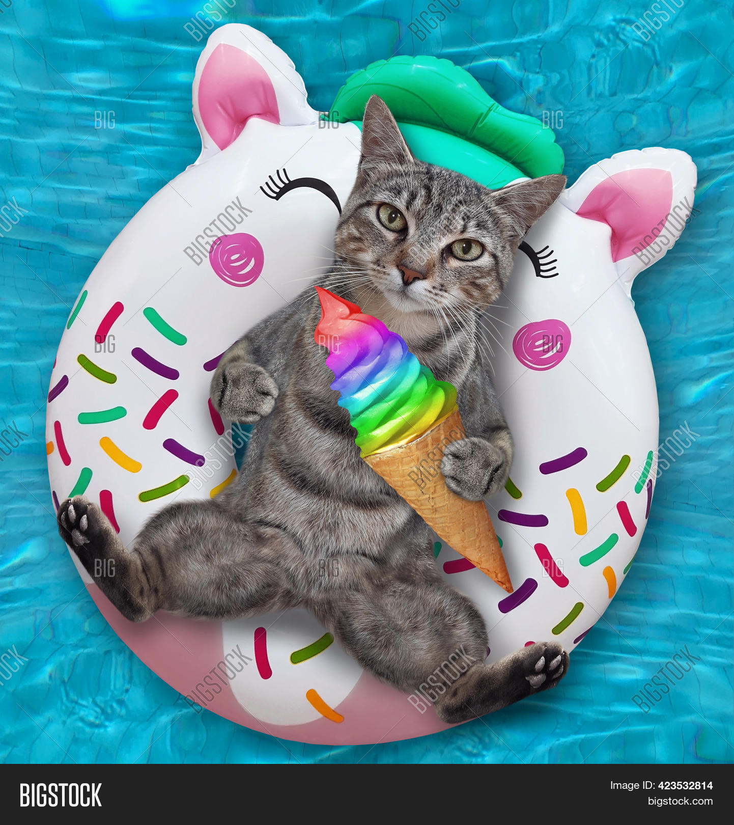 Gray Cat Cone Ice Image & Photo (Free Trial) | Bigstock