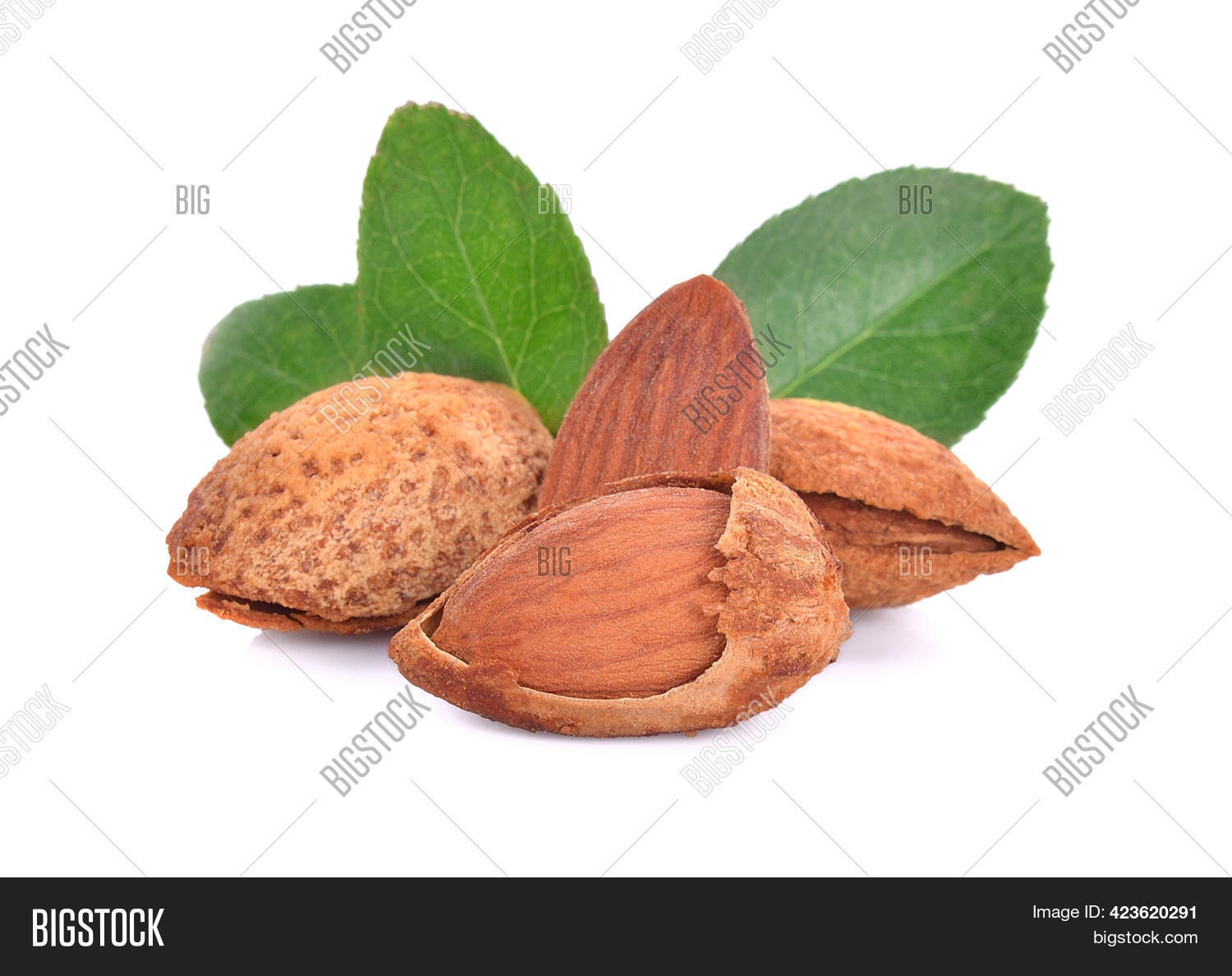 Almonds Green Leaf On Image & Photo (Free Trial) | Bigstock