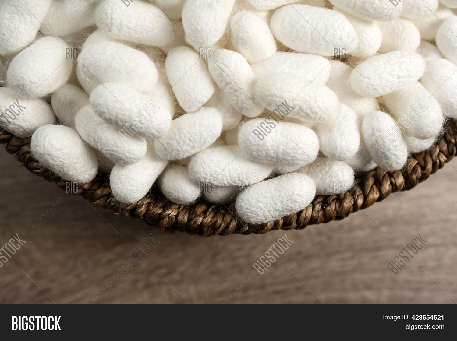 White Silk Cocoons Image & Photo (Free Trial) | Bigstock