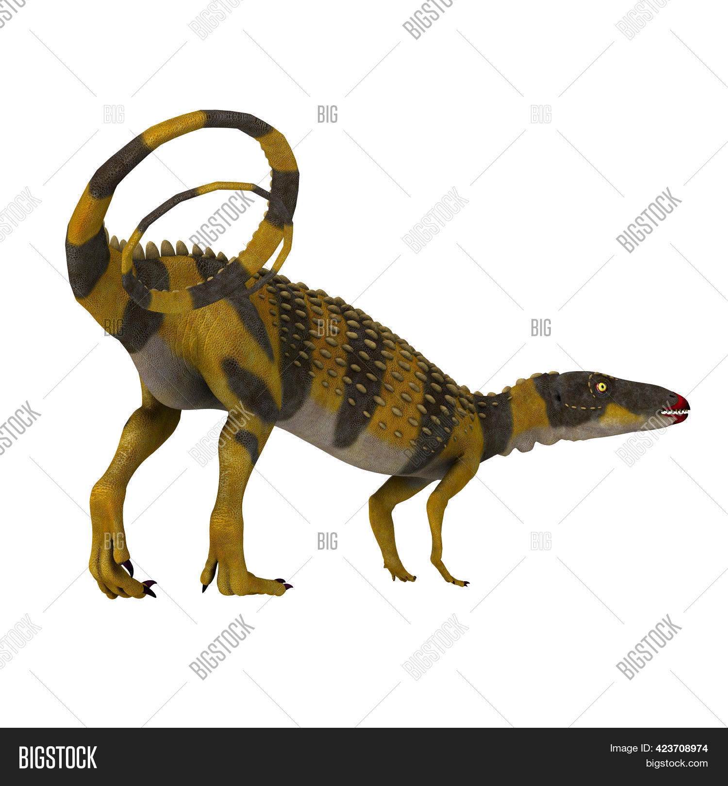 Scutellosaurus Image & Photo (Free Trial) | Bigstock