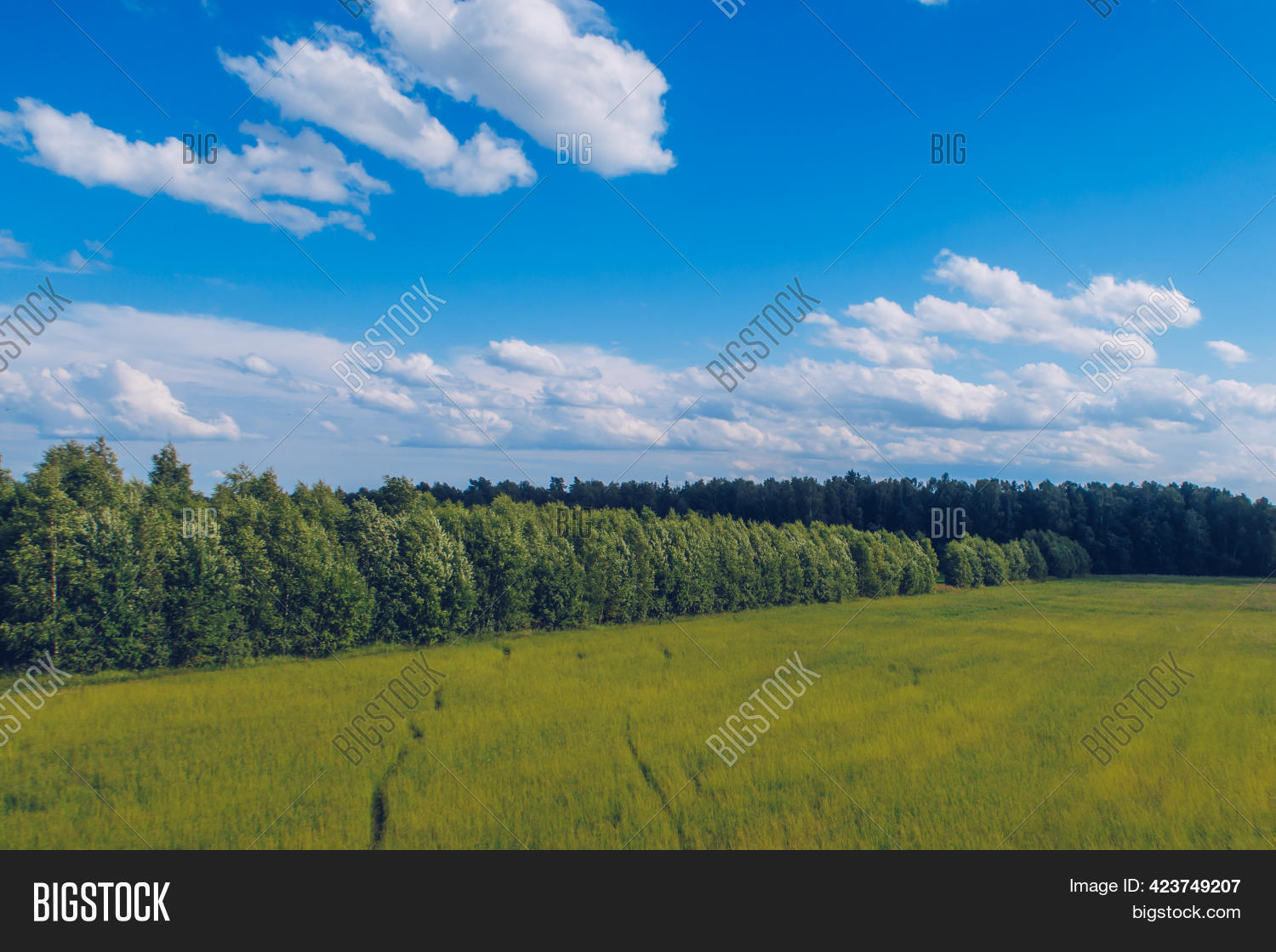 Path Field Grass. Image & Photo (Free Trial) | Bigstock