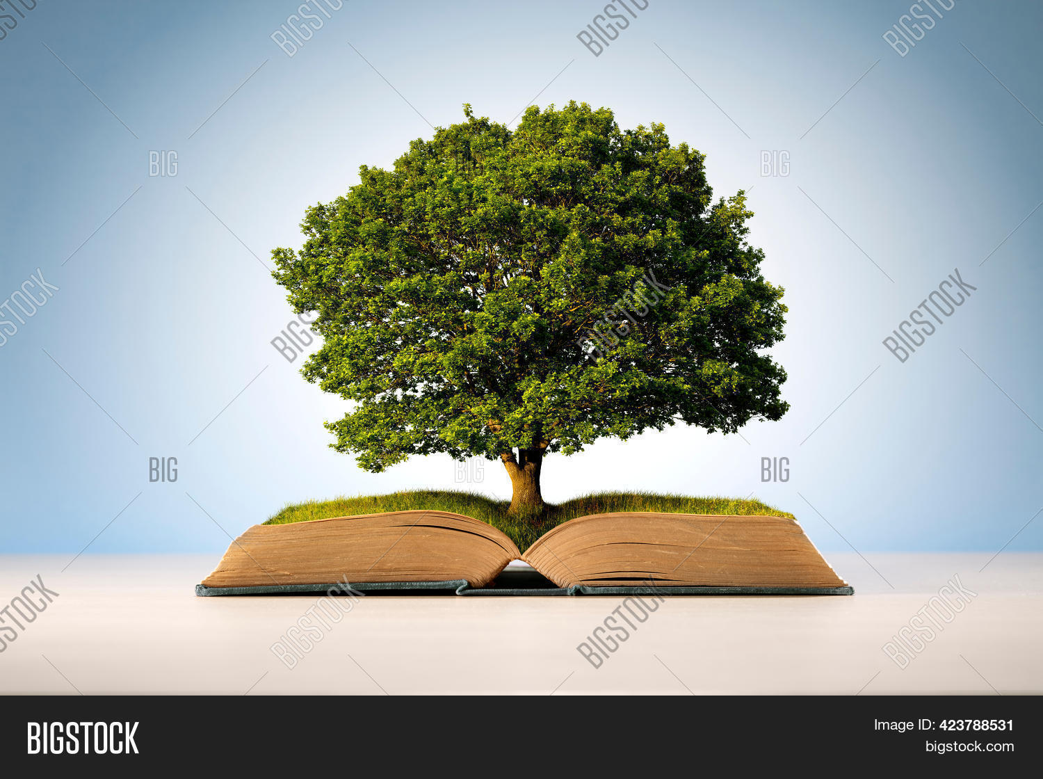 Book Tree Knowledge Image & Photo (Free Trial) | Bigstock