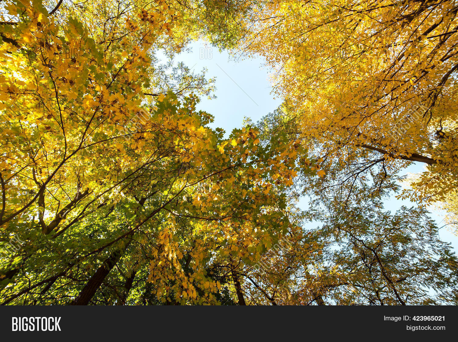 Perspective View Image & Photo (Free Trial) | Bigstock
