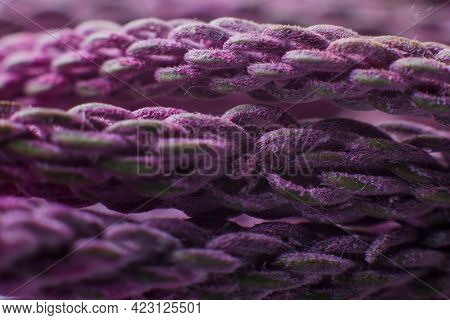 Purple Threads Close Image & Photo (Free Trial) | Bigstock