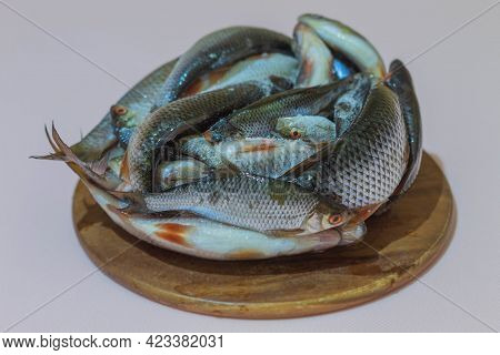 Photo Shows Image Image & Photo (Free Trial) | Bigstock