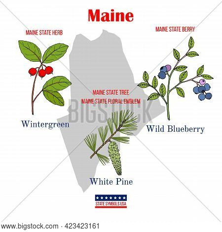 Maine. Set Usa Vector & Photo (Free Trial) | Bigstock