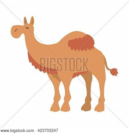 Cute Dromedary Vector & Photo (Free Trial) | Bigstock
