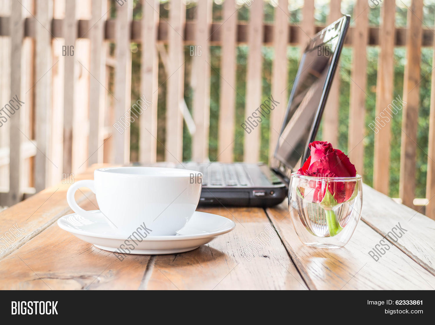 Morning Sun Shining On Image & Photo (Free Trial) | Bigstock