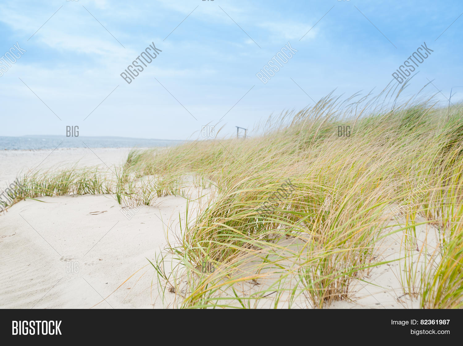 Windswept Beach, Image & Photo (Free Trial) | Bigstock