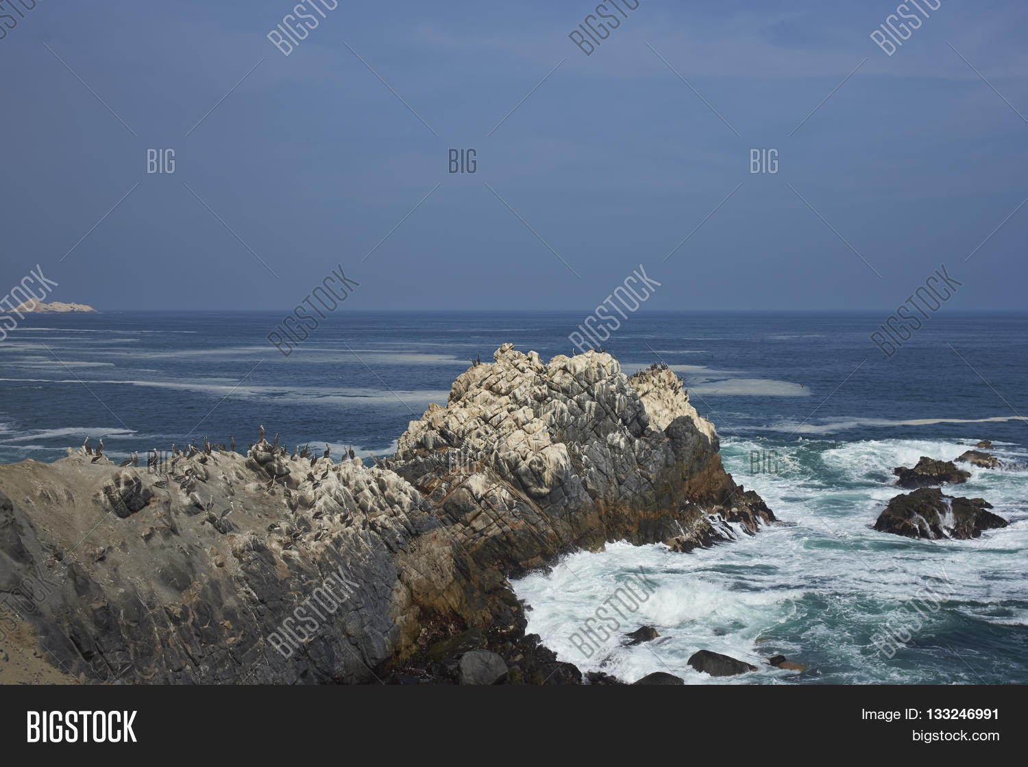 Seabirds On Guano Image & Photo (Free Trial) | Bigstock