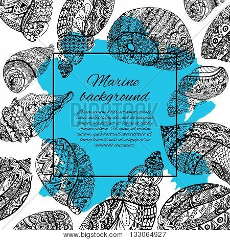 Hand Drawn Sea Shells Vector & Photo (Free Trial) | Bigstock