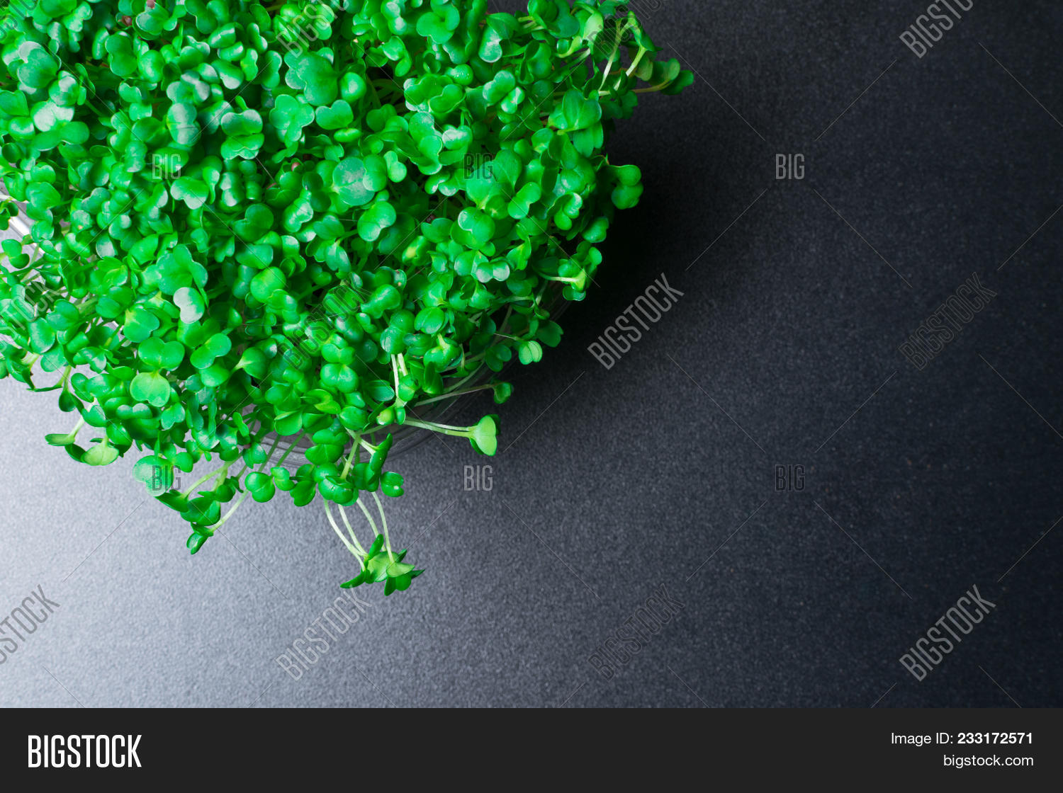 Healthy Green Fresh Image & Photo (Free Trial) | Bigstock