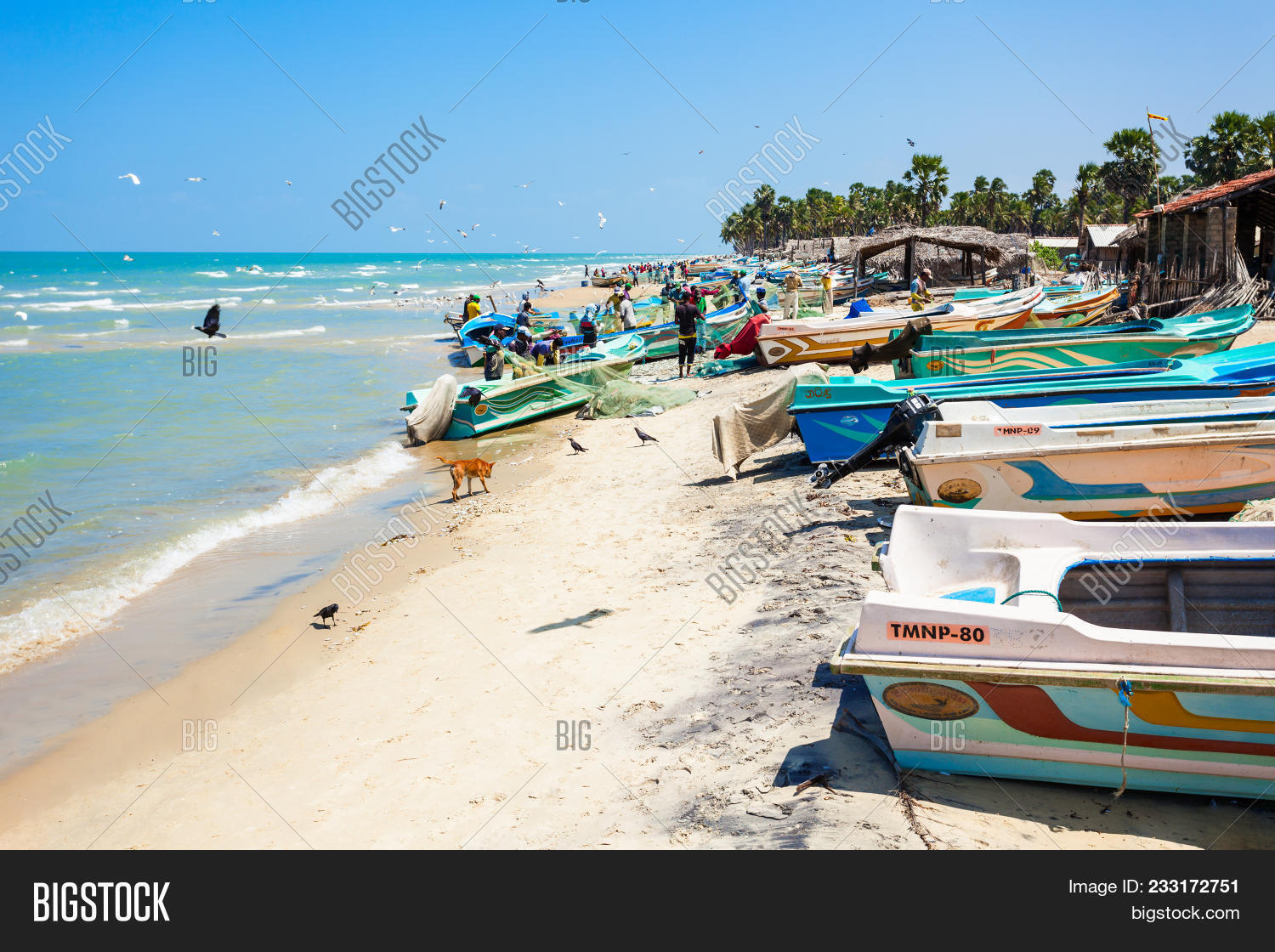 Talaimannar, Sri Lanka Image & Photo (Free Trial) | Bigstock