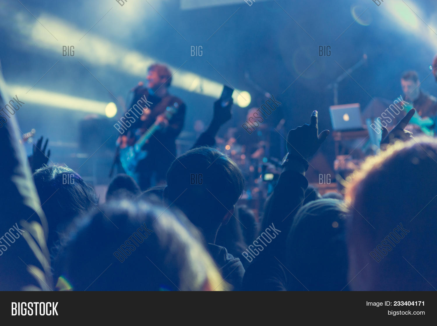 Imagen y foto Crowd Concert. (prueba gratis) | Bigstock