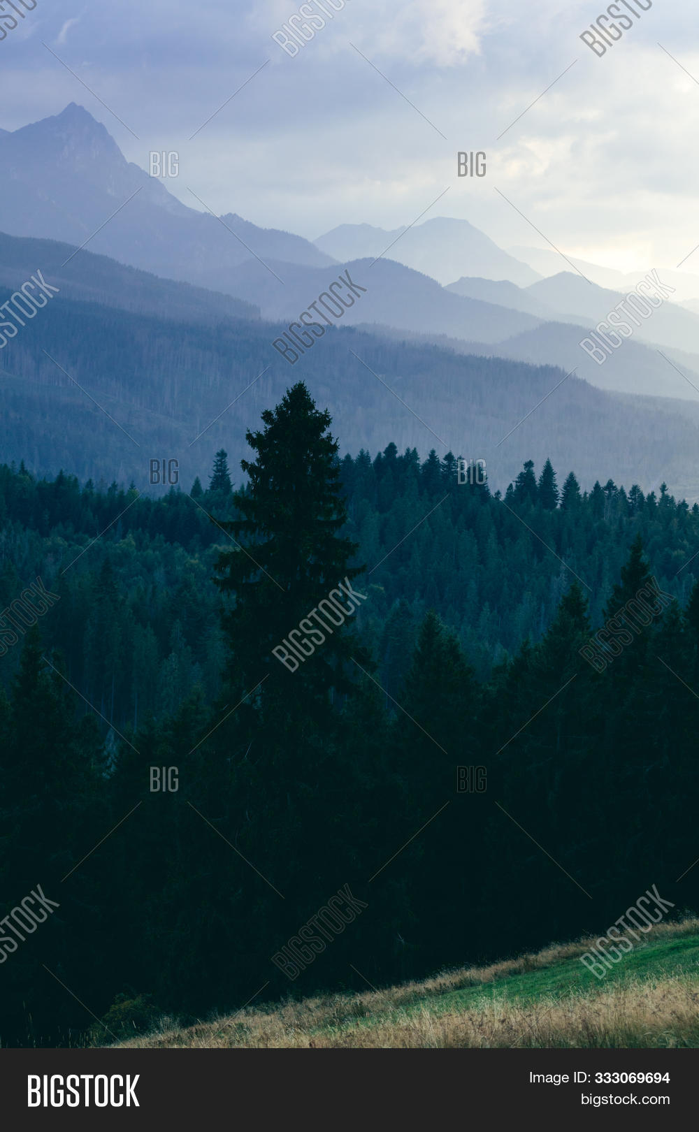 Forest Under Mountain Image & Photo (Free Trial) | Bigstock