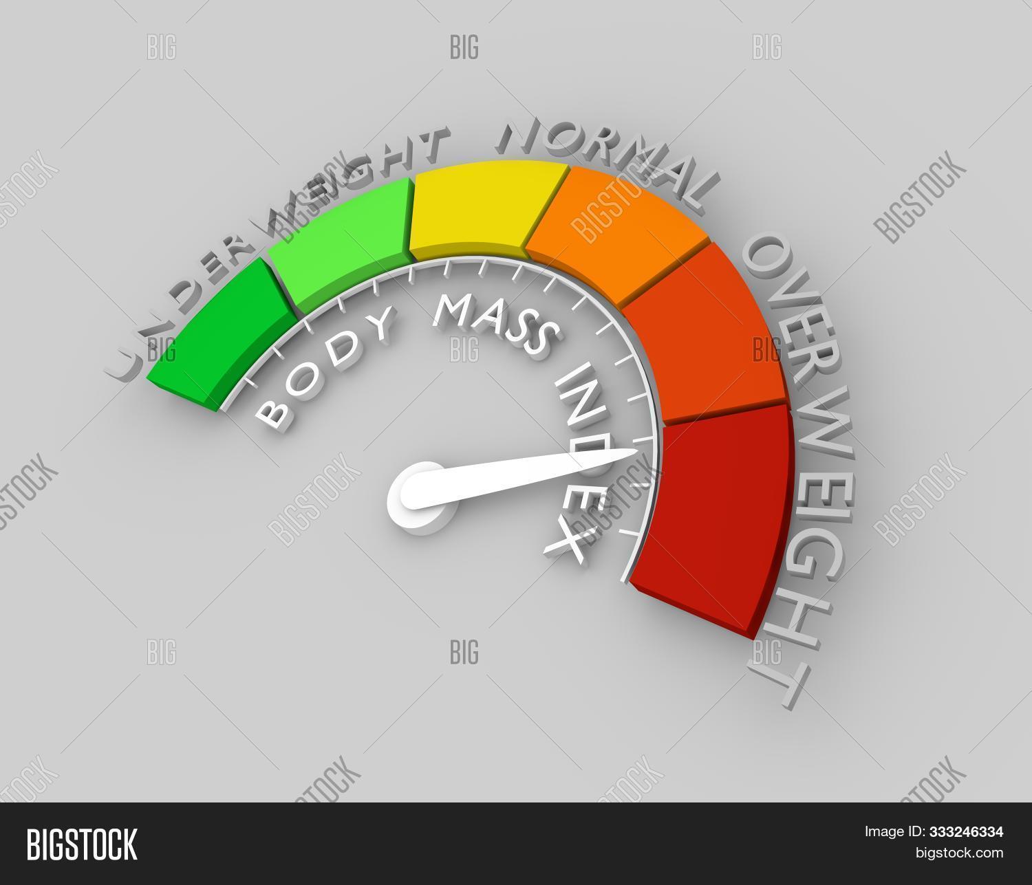 Body Mass Index Meter Image & Photo (Free Trial) | Bigstock