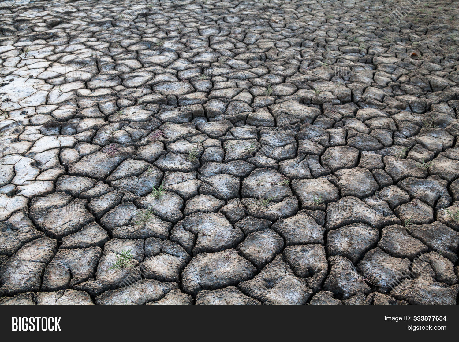 Cracked Dry Ground Image & Photo (Free Trial) | Bigstock