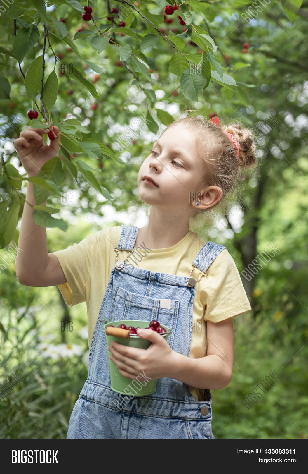 Little Girl Picking Image & Photo (Free Trial) | Bigstock