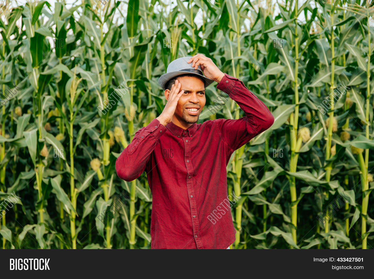 Portrait Confused Male Image & Photo (Free Trial) | Bigstock