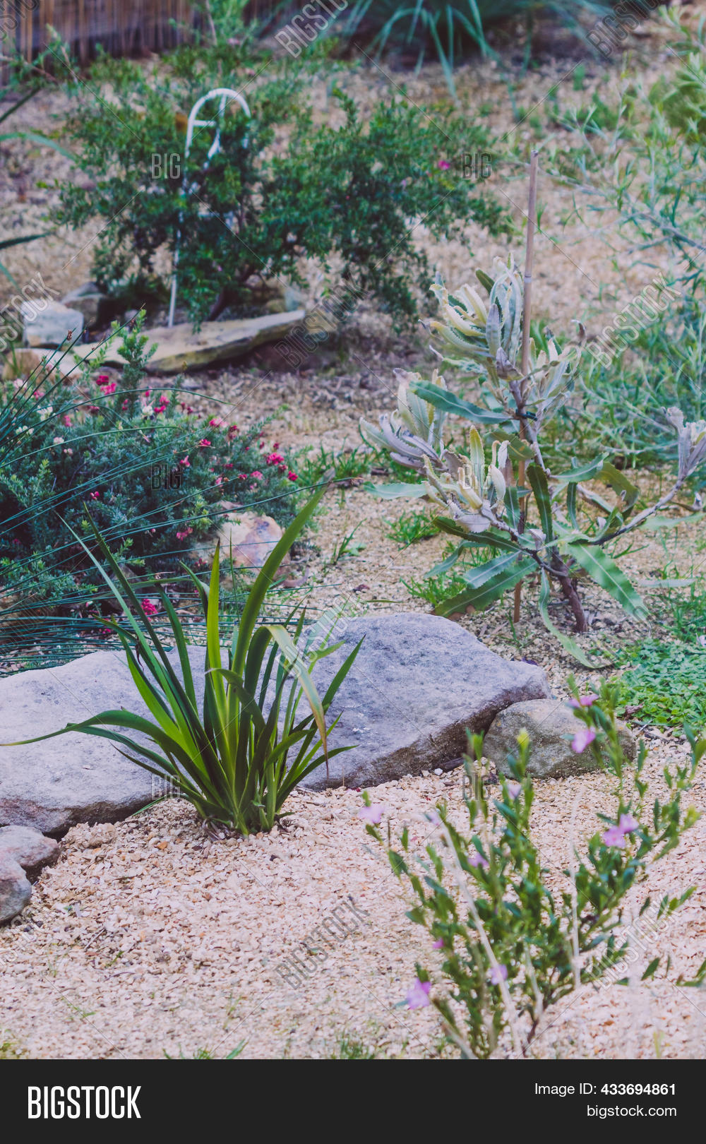 Idyllic Sunny Backyard Image & Photo (Free Trial) | Bigstock