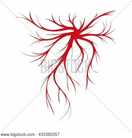 Vein Human Vector Vector & Photo (Free Trial) | Bigstock