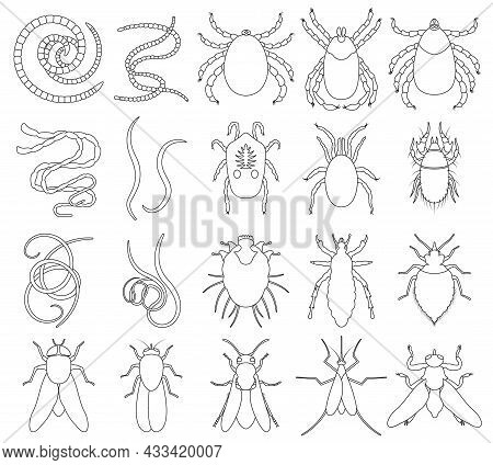 Parasite Vector Vector & Photo (Free Trial) | Bigstock