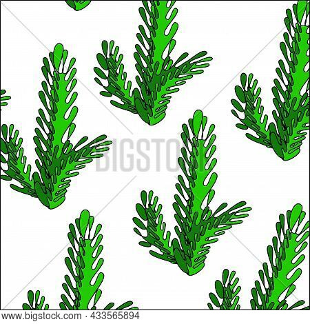 Green Algae Cartoon Vector & Photo (Free Trial) | Bigstock