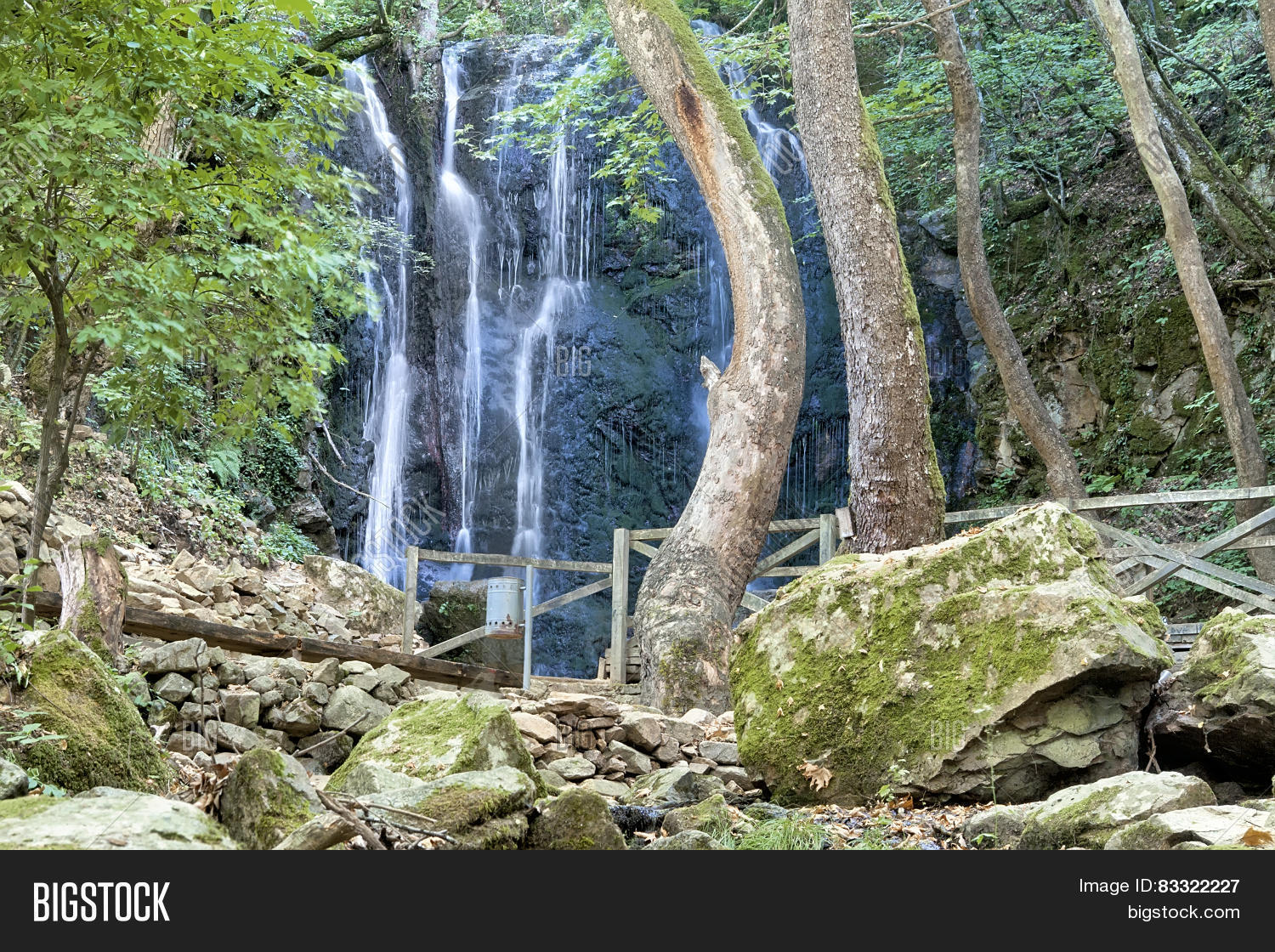 Waterfall Among Trees Image & Photo (Free Trial) | Bigstock
