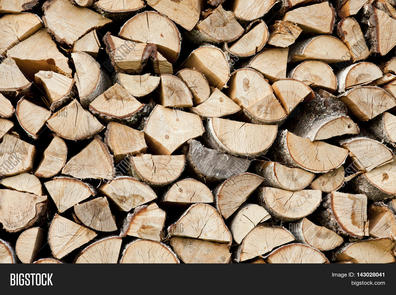 Hewn Brich-tree Wood Image & Photo (Free Trial) | Bigstock