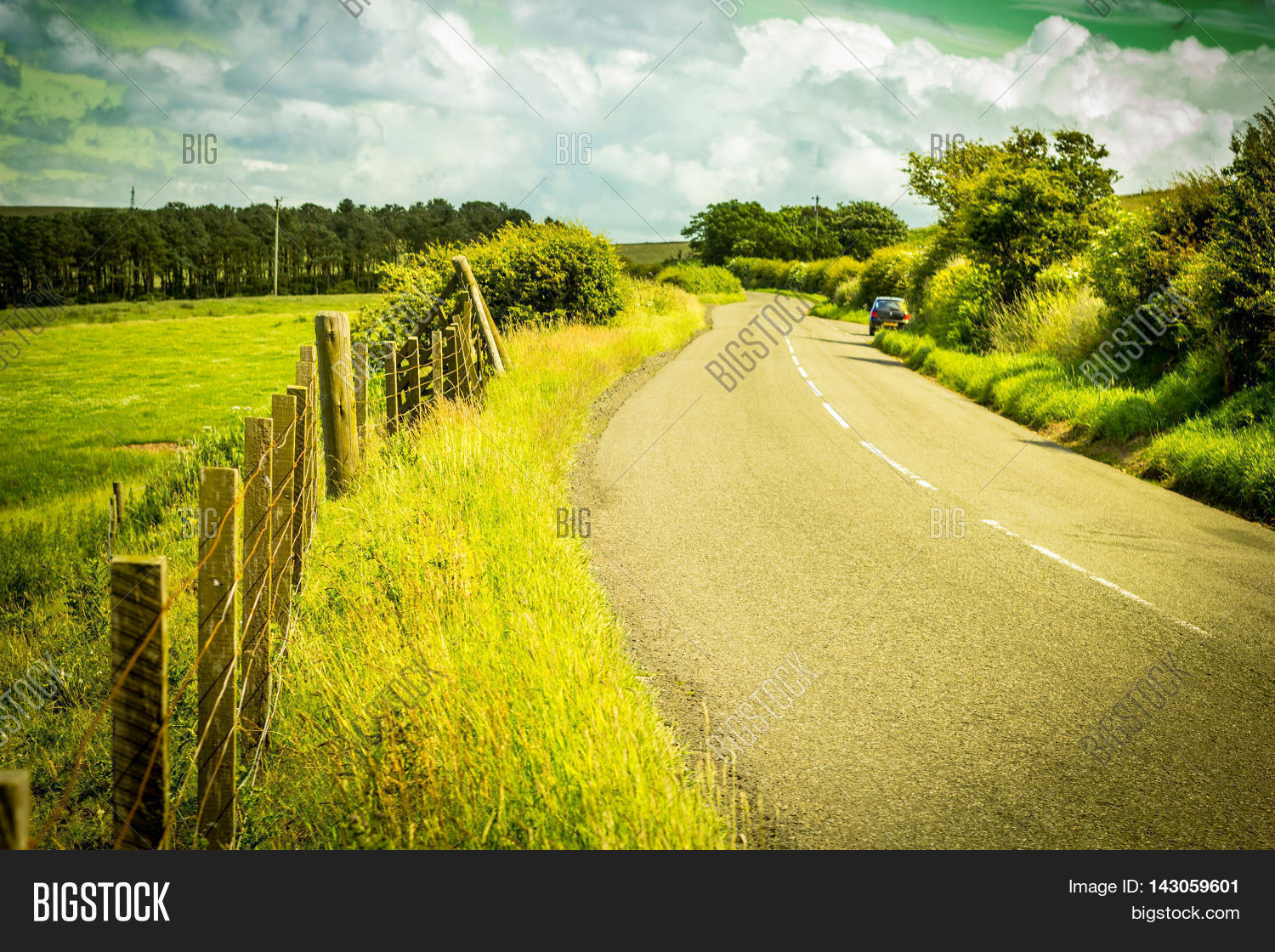 Countryside Road Natural Landscape