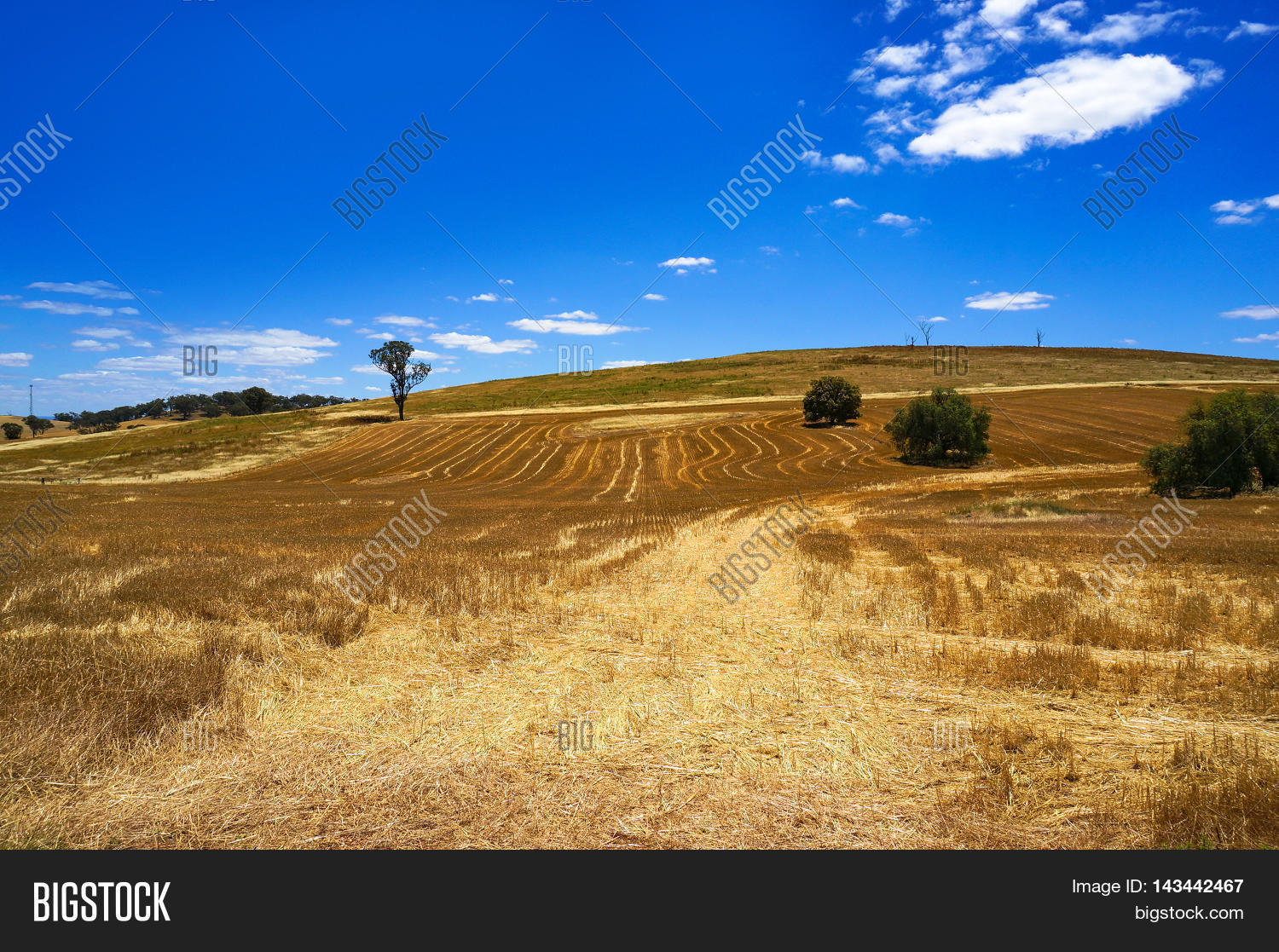 Australian Outback Image & Photo (Free Trial) | Bigstock
