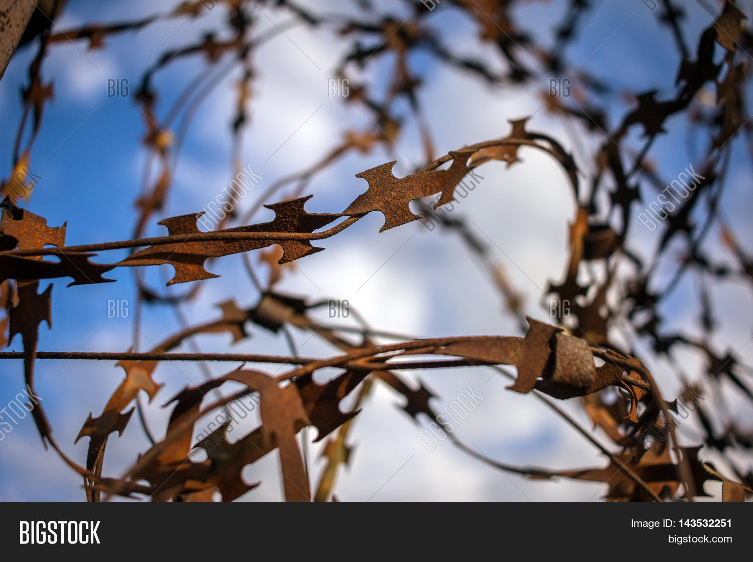 Stabbing Sharp Wire On Image & Photo (Free Trial) | Bigstock