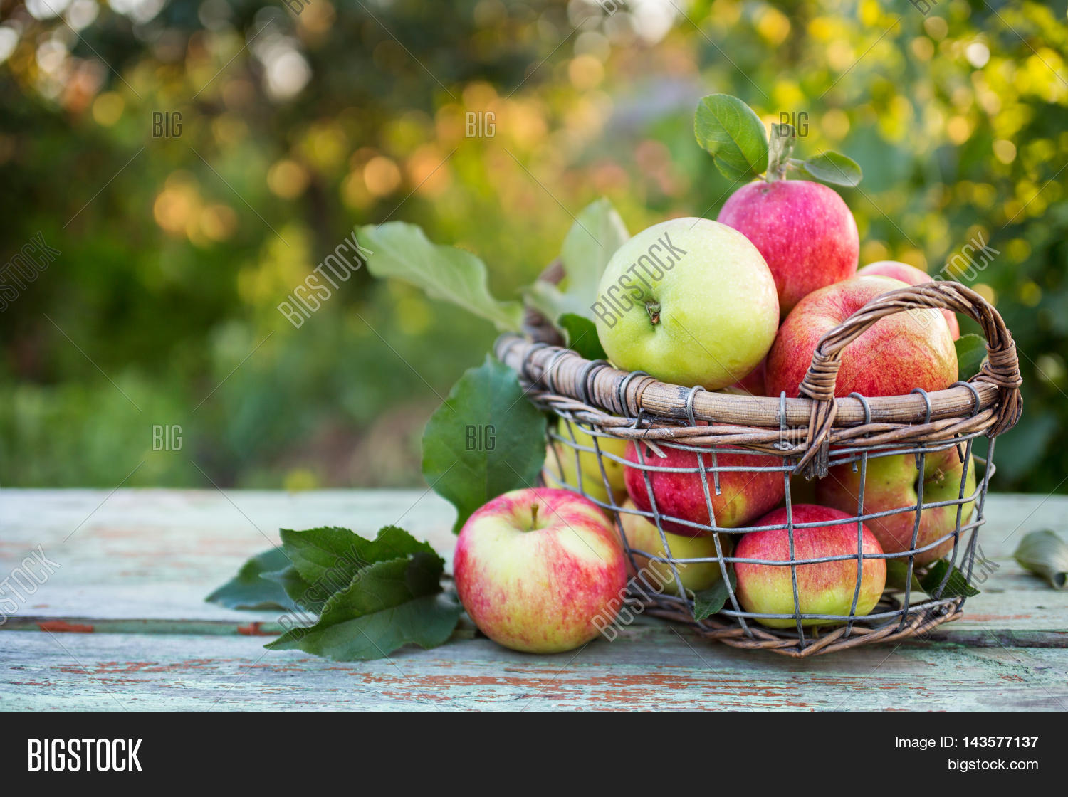 Fresh Ripe Apples Image & Photo (Free Trial) | Bigstock
