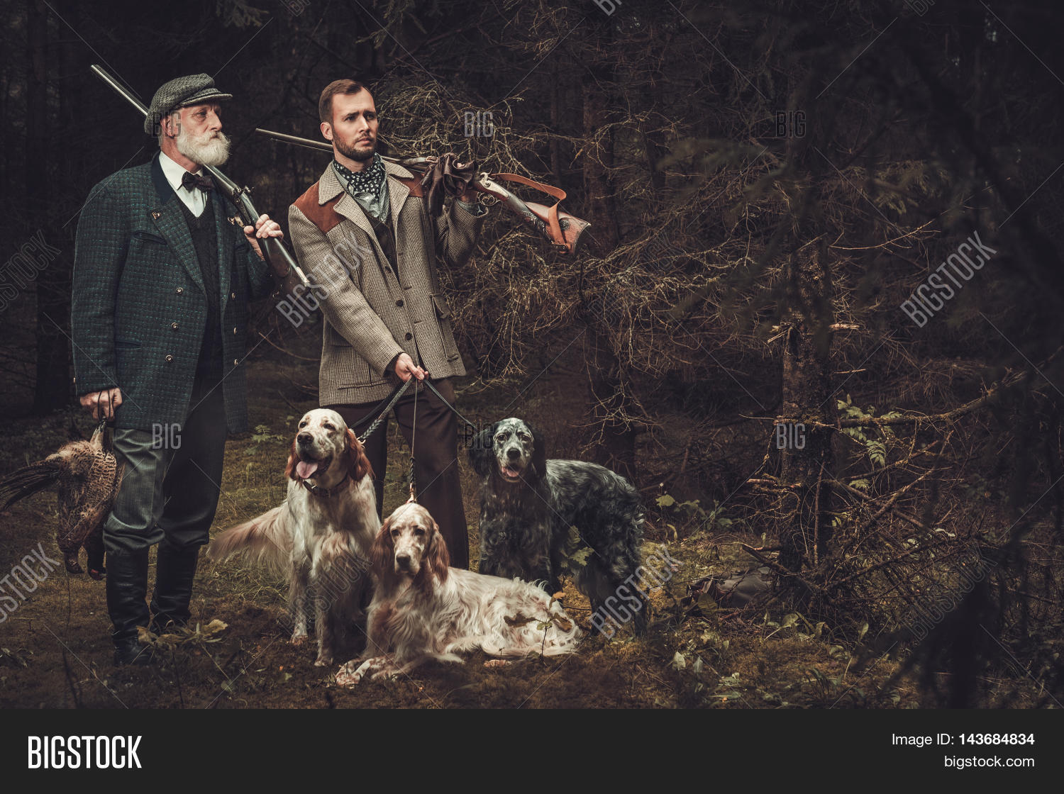 Two Hunters Dogs Image & Photo (Free Trial) | Bigstock