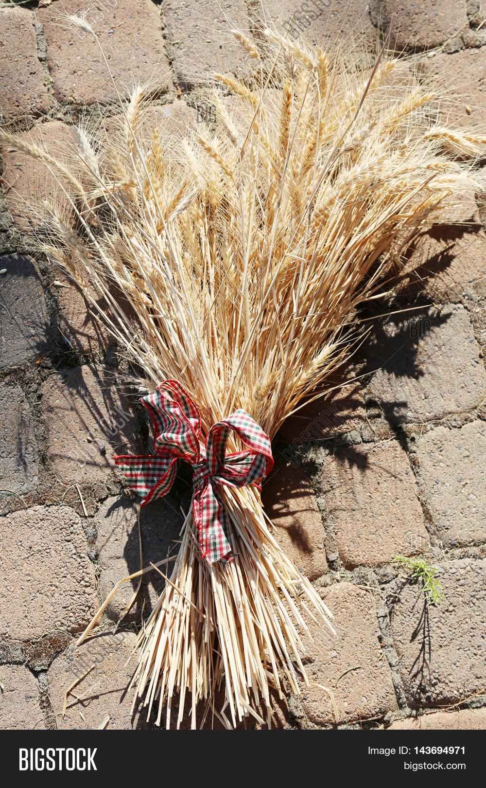 Sheaf Wheat Aka Bundle Image & Photo (Free Trial) | Bigstock
