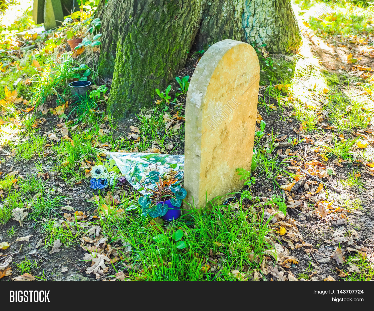 Nick Drake Tomb Image & Photo (Free Trial) | Bigstock