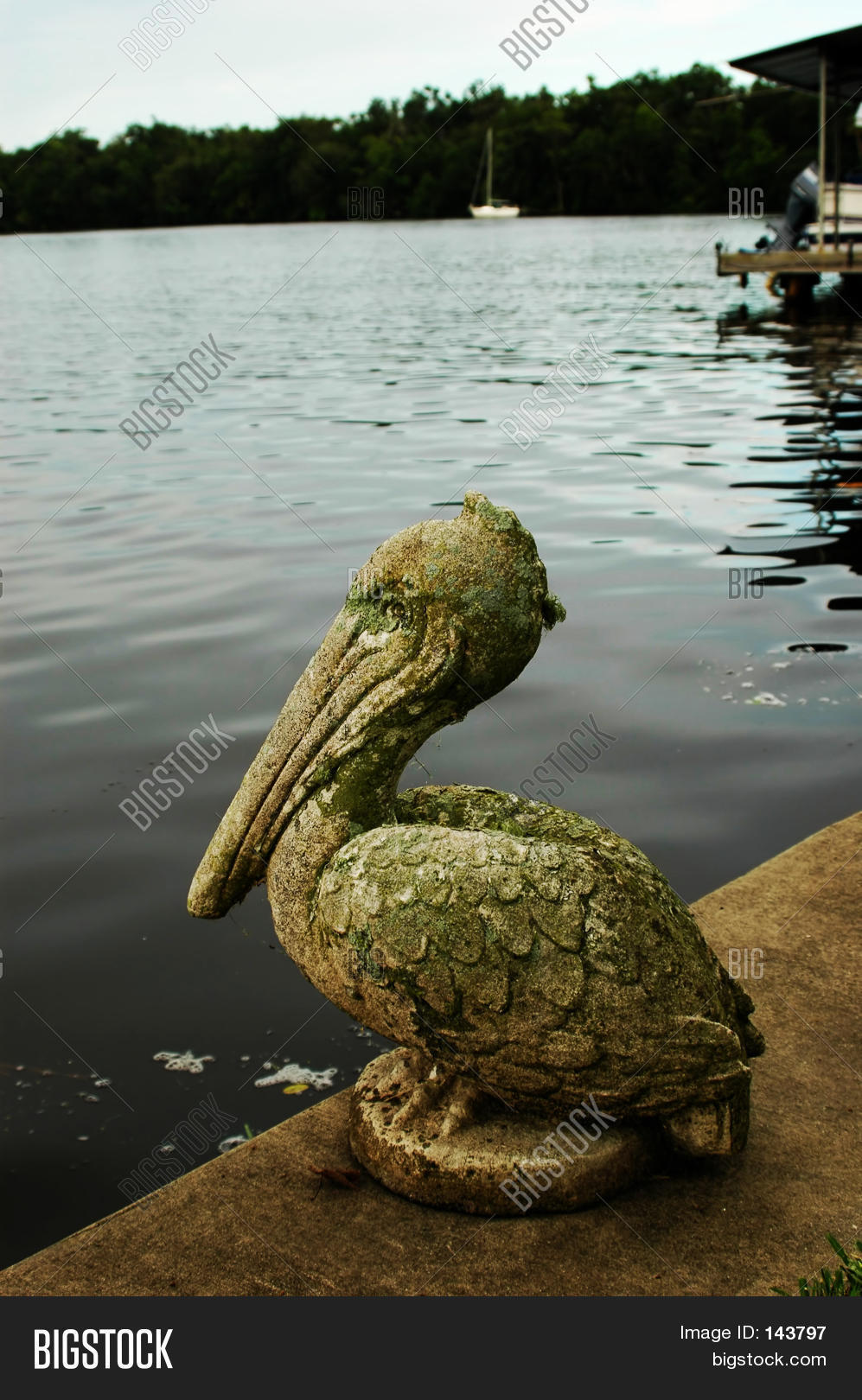 Stone Pelican Image & Photo (Free Trial) | Bigstock