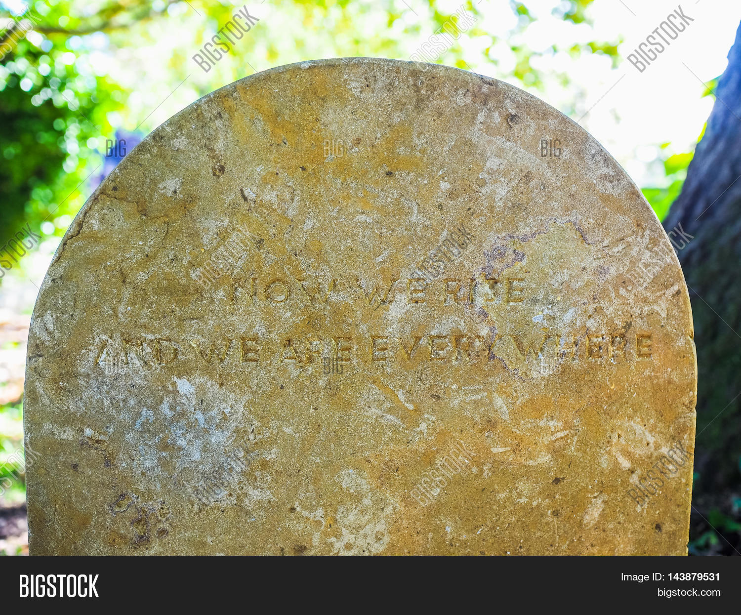 Nick Drake Tomb Image & Photo (Free Trial) | Bigstock