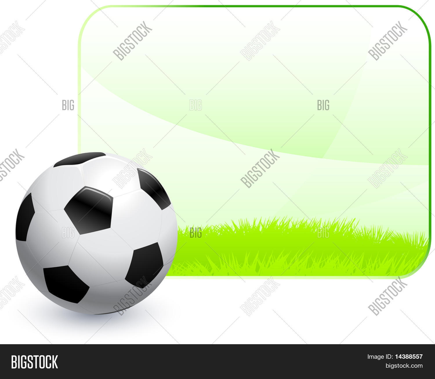 Soccer Ball Blank Vector & Photo (Free Trial) | Bigstock