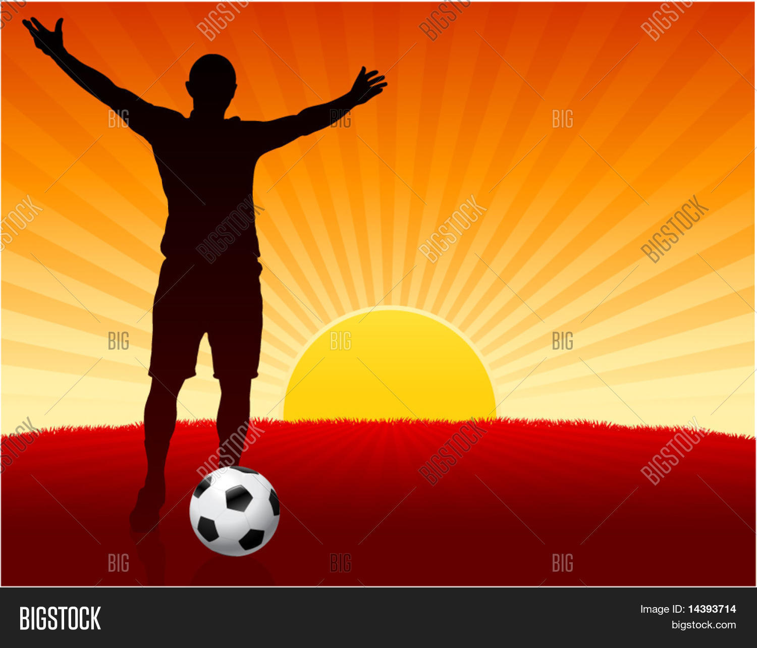 Soccer Player On Vector & Photo (Free Trial) | Bigstock