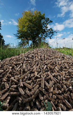 Pile Wooden Pellets Image & Photo (Free Trial) | Bigstock