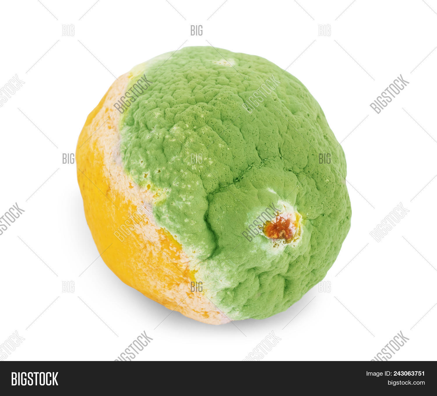 Lemon Mold Fresh Lemon Image & Photo (Free Trial) | Bigstock