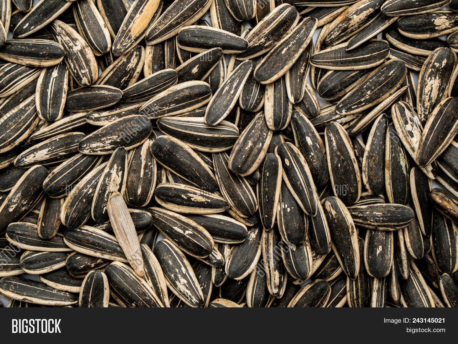 Flower, Sun, Seeds, Image & Photo (Free Trial) | Bigstock