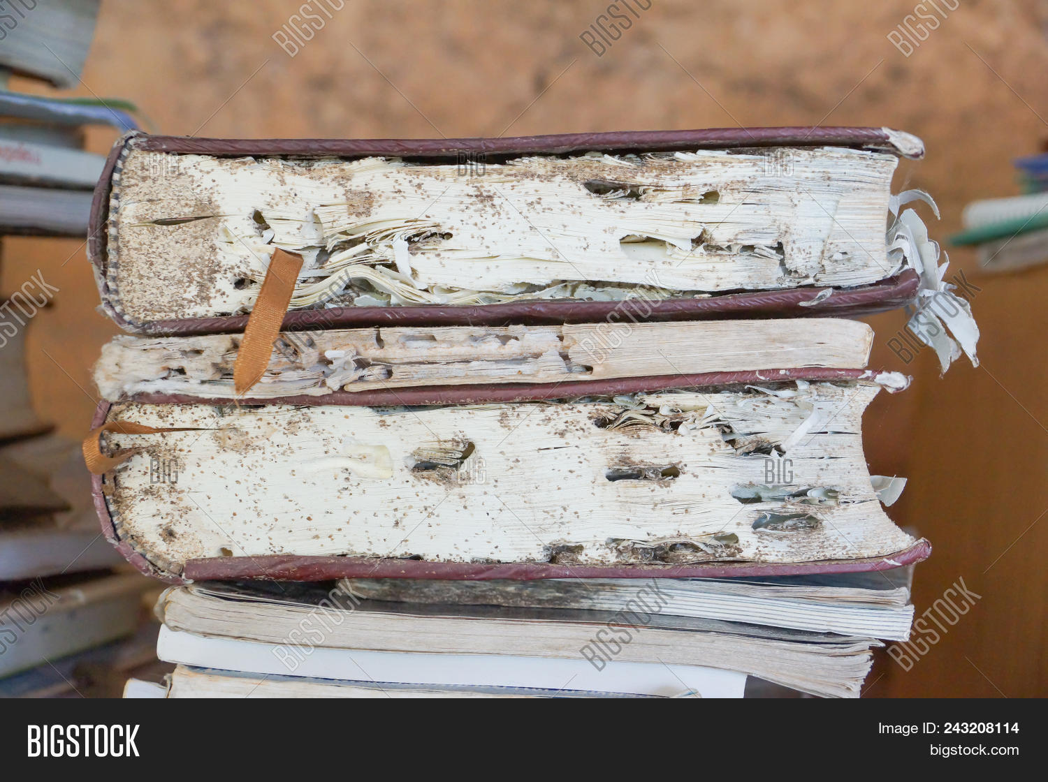 Pile Books Destroyed Image & Photo (Free Trial) | Bigstock