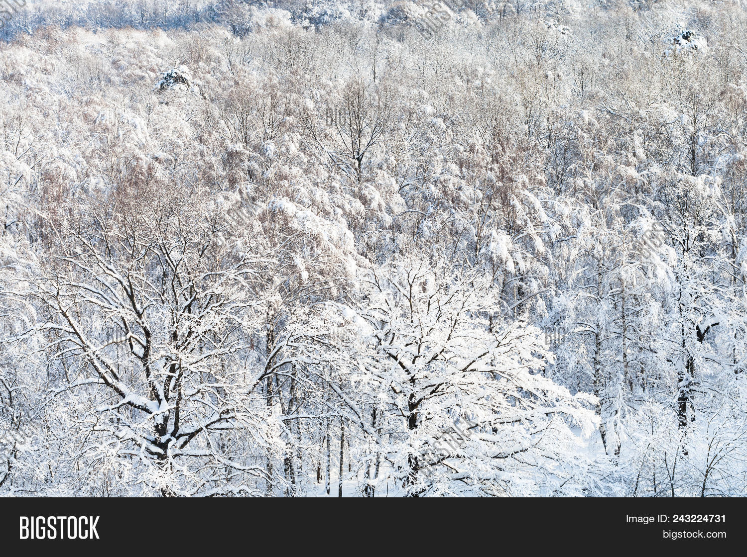 Above View Snow- Image & Photo (Free Trial) | Bigstock