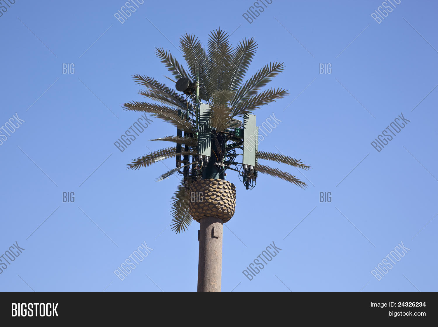 Cell Tower Palm Tree Image & Photo (Free Trial) | Bigstock