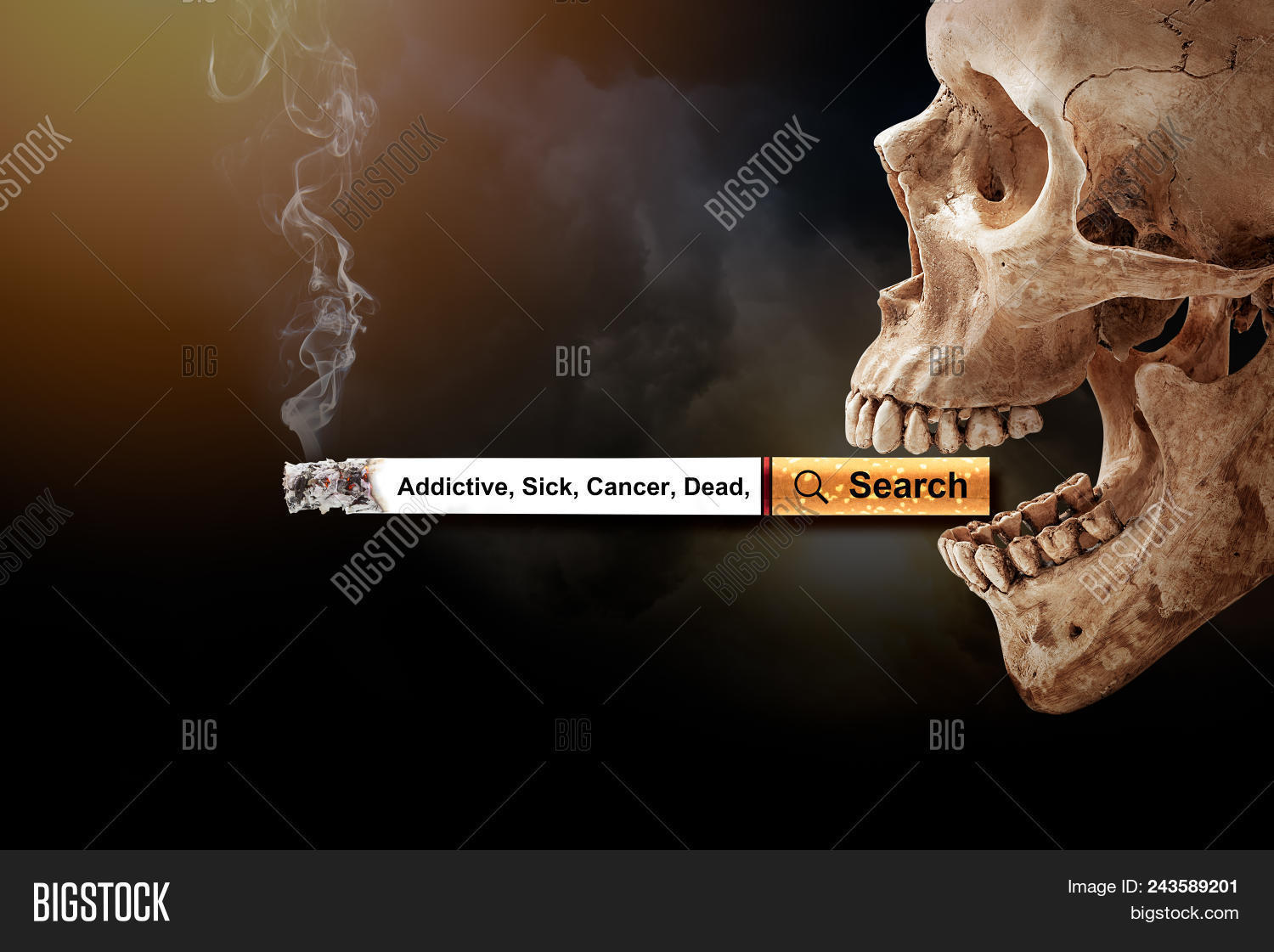 Human Skull Smoking Image & Photo (Free Trial) | Bigstock